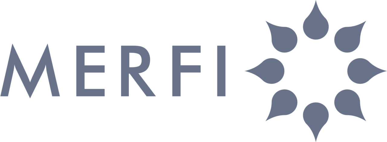 MERFI | Društvo za finansijsku reviziju sa ograničenom odgoornošću